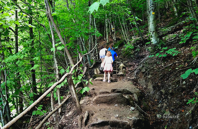 Hiking on Mont Sutton – baburek.co