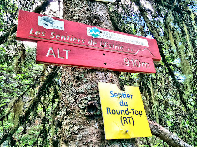 Hiking on Mont Sutton – baburek.co